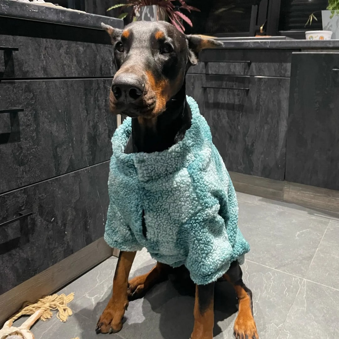 Dog Clothes, Winter Dog Jacket, Warm Coat, Designer Large Clothes ...