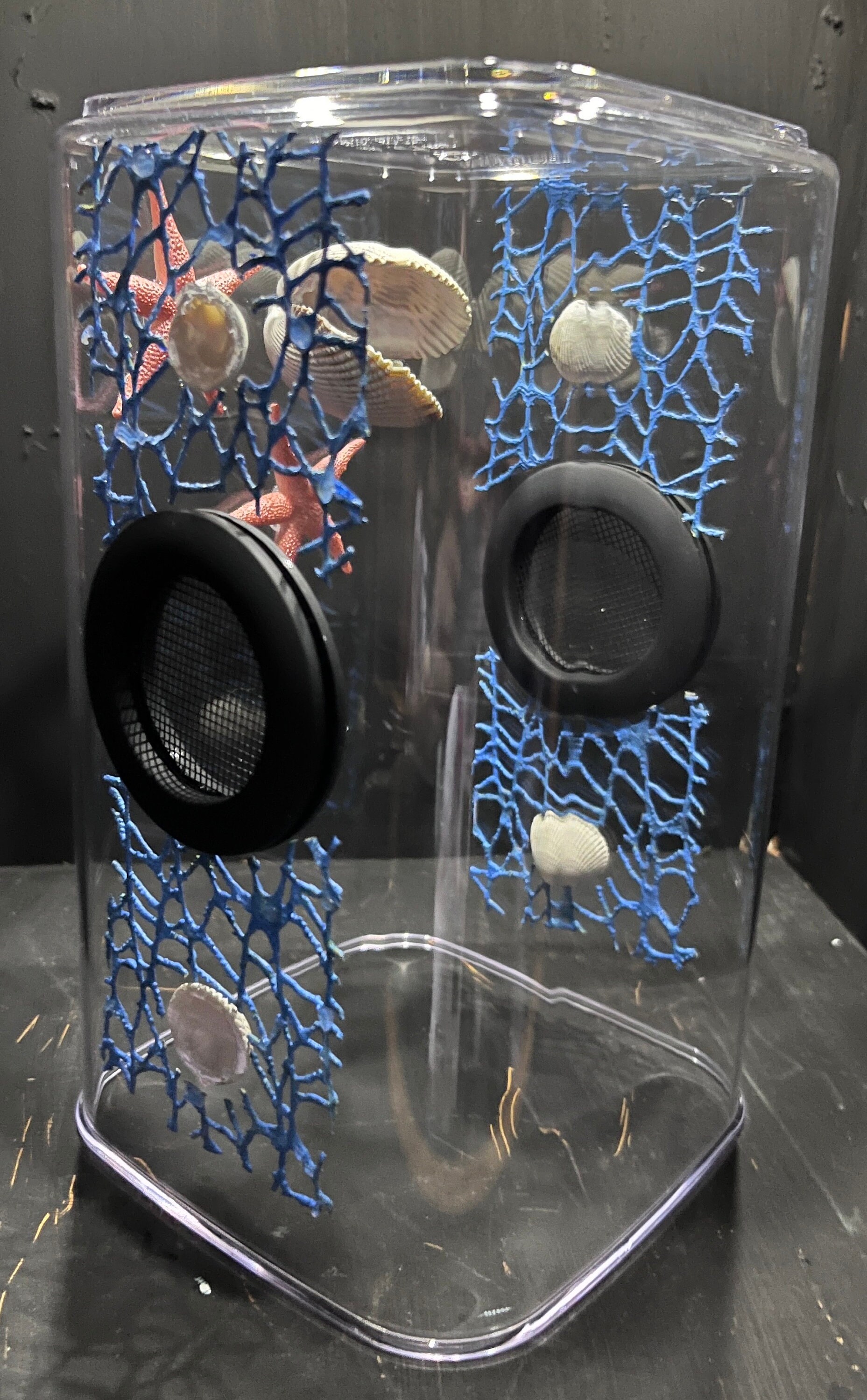 Large Jumping Spider Enclosure - Etsy