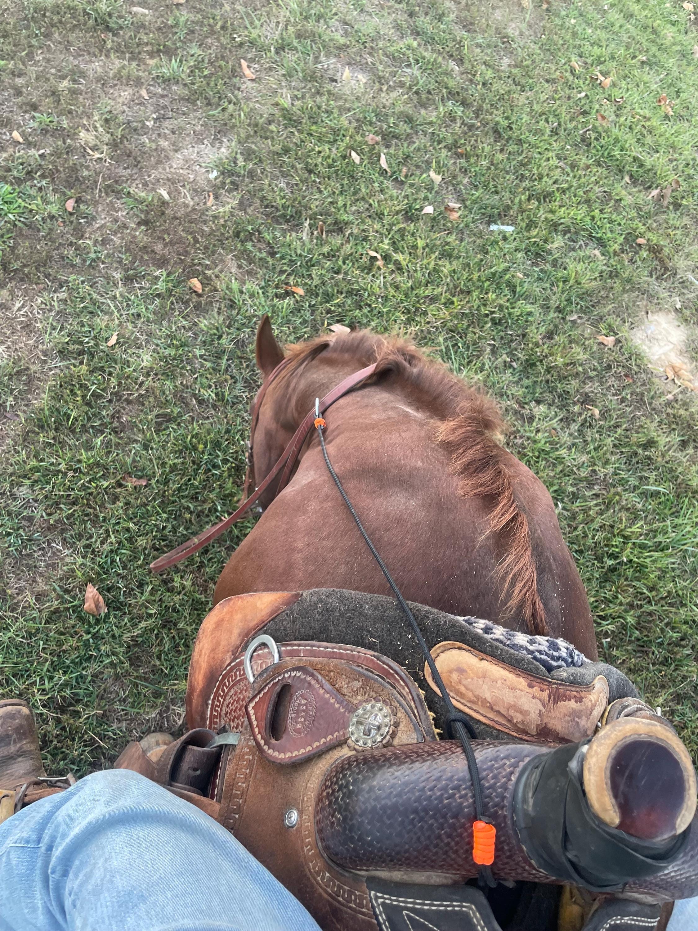 Custom Rein Saver, Riding Rein Keeper, Rein Holder for Horseback, Split ...