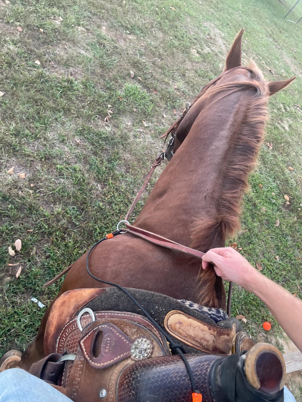 Custom Rein Saver, Riding Rein Keeper, Rein Holder for Horseback, Split ...