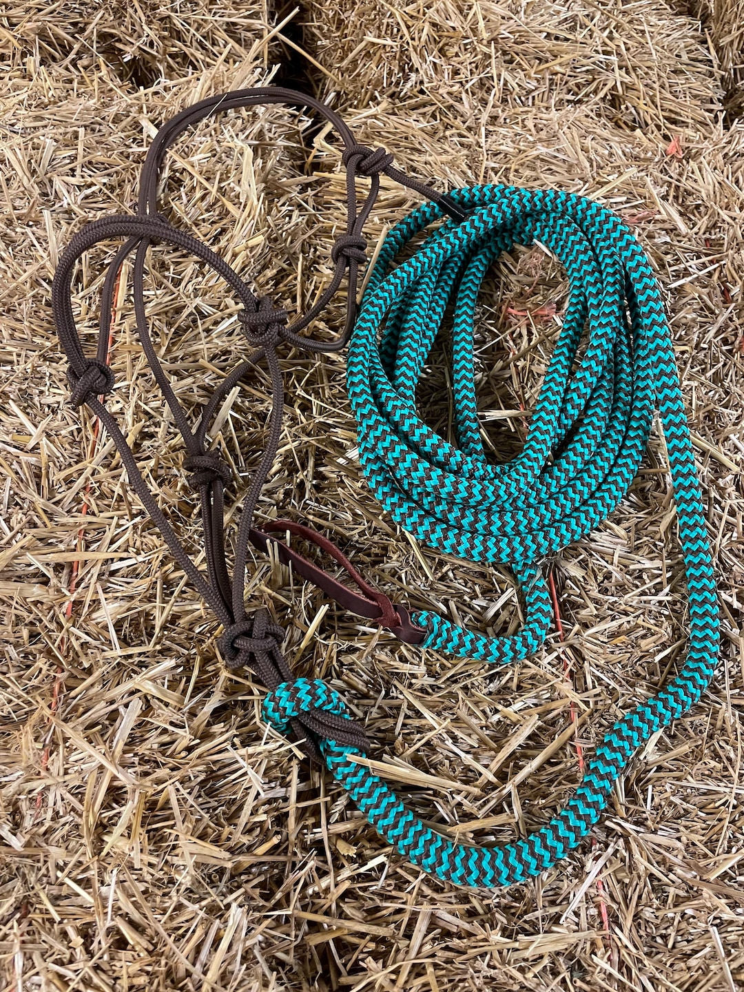 2 Knot Training Horse Halter and Lunging Line Horse Lunging Halter ...