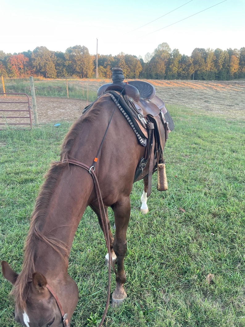 Custom Rein Saver, Riding Rein Keeper, Rein Holder for Horseback, Split ...