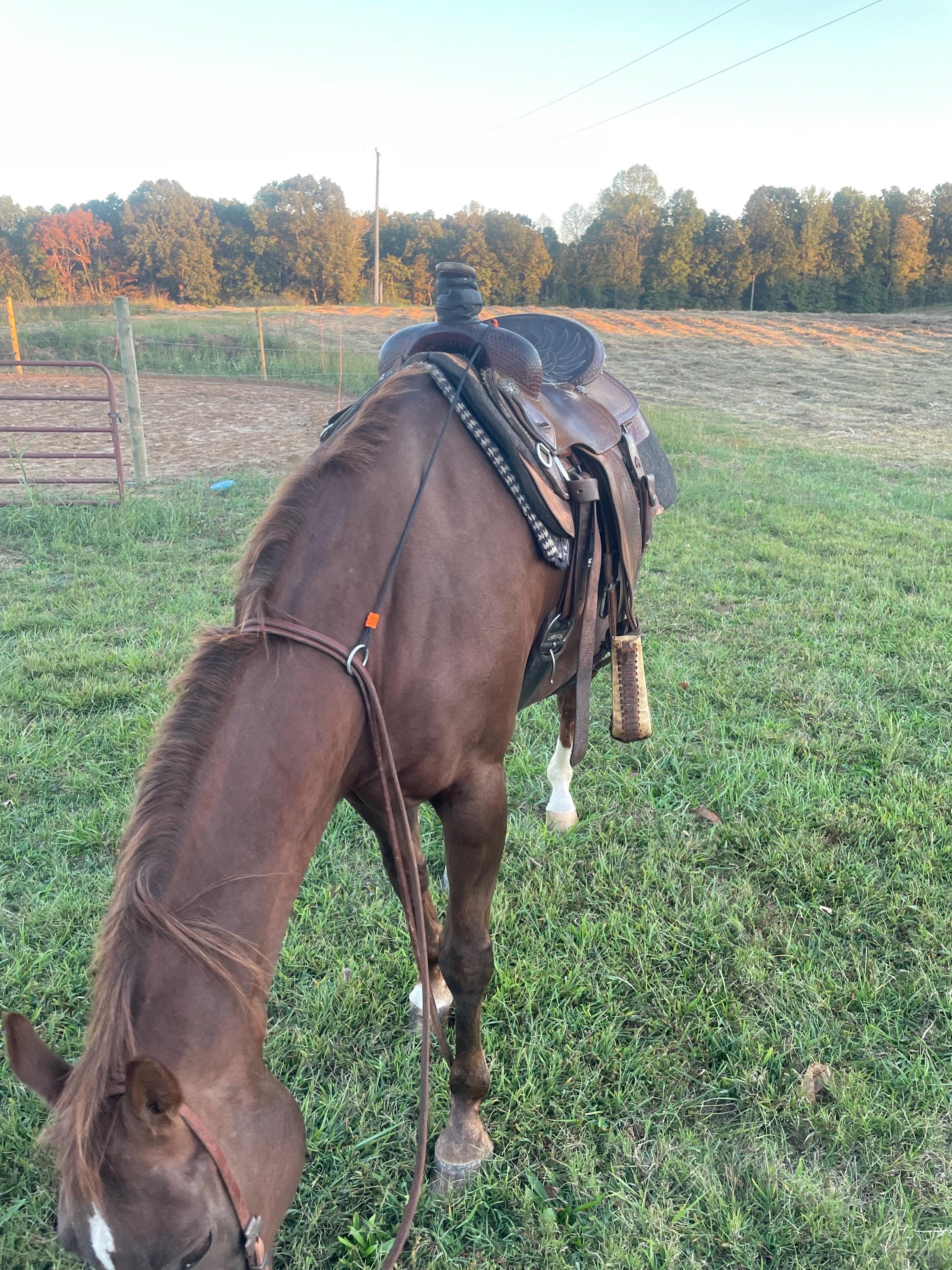 Custom Rein Saver, Riding Rein Keeper, Rein Holder for Horseback, Split ...