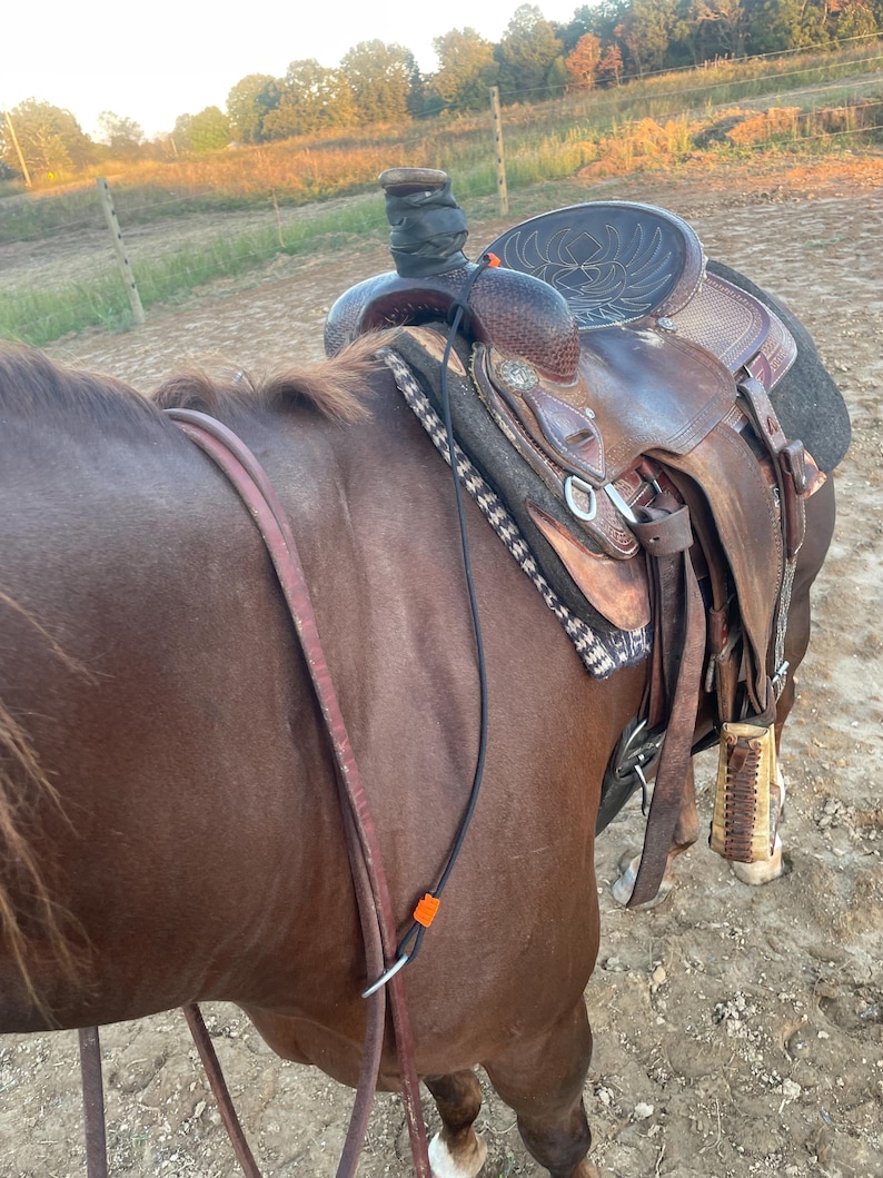 Custom Rein Saver, Riding Rein Keeper, Rein Holder for Horseback, Split ...