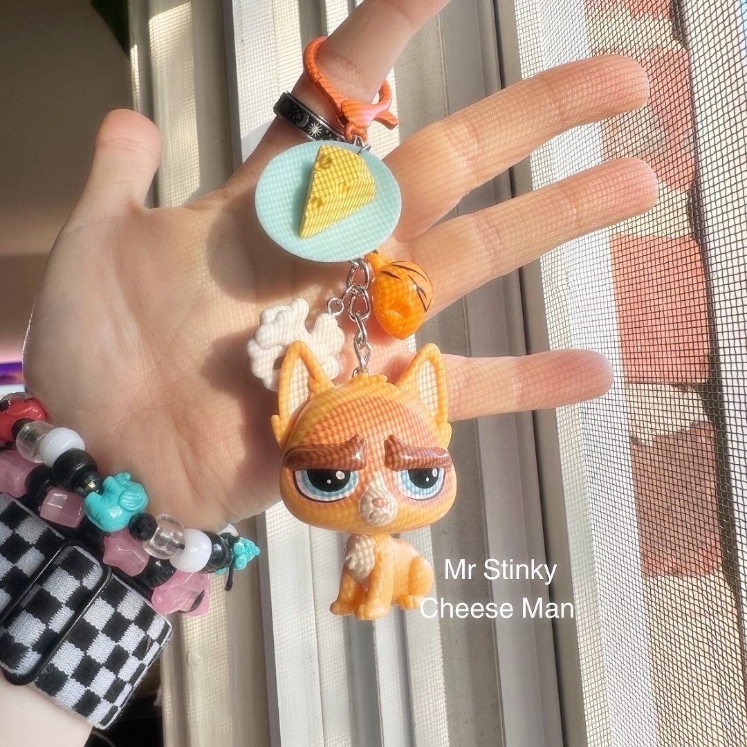 Grumpy Cat/dog LPS Keychain - Etsy