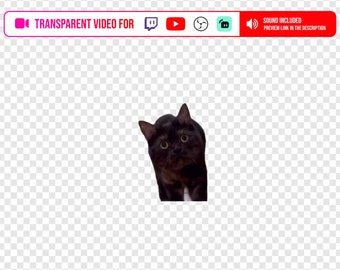 Transparent Background Tiny Legs Meme Stream Decoration for Channel ...