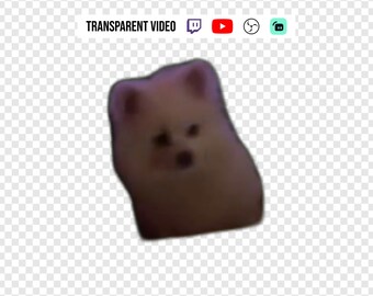Transparent Background Dancing Dog Decoration for Channel Rewards and ...