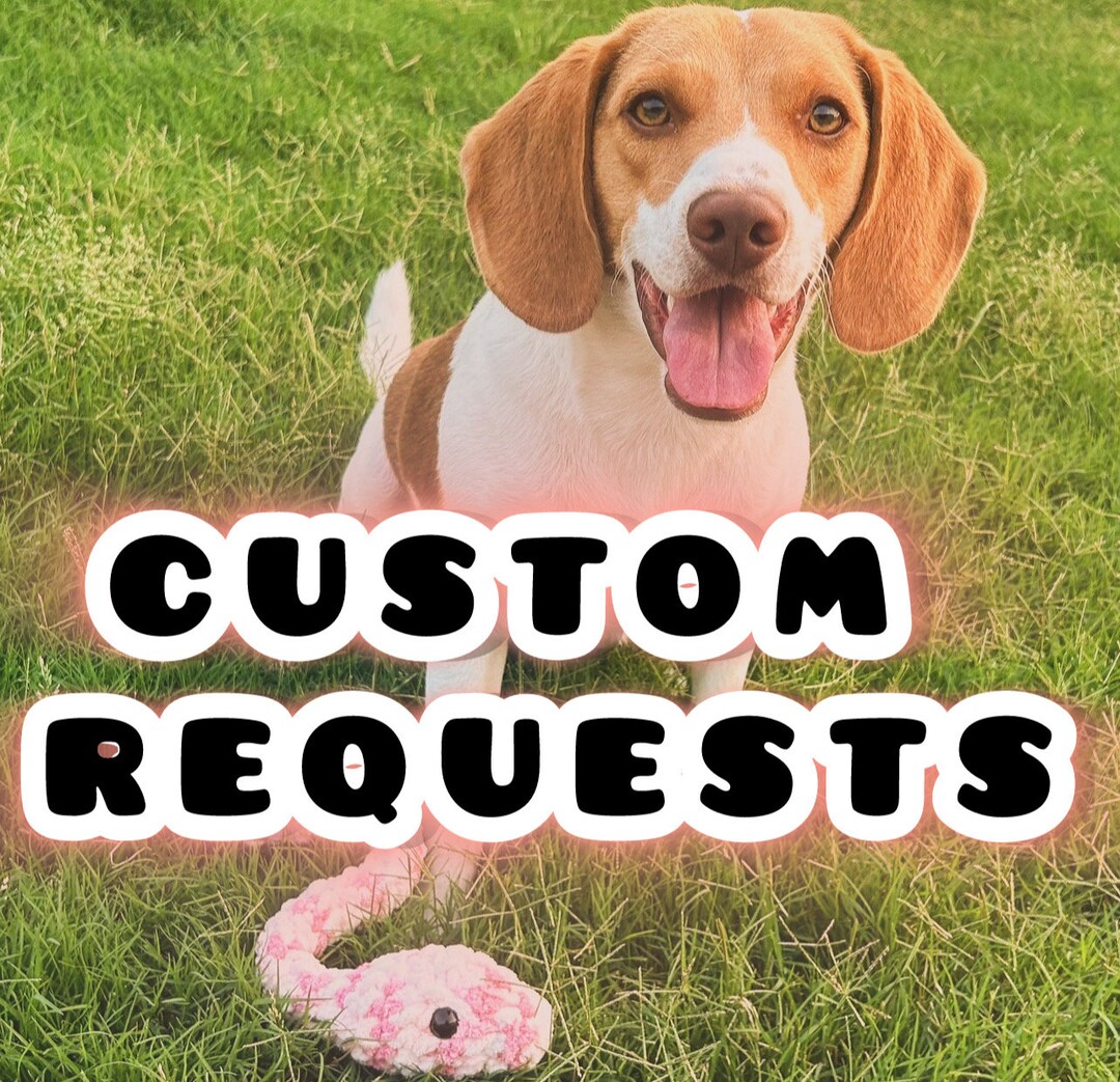 CUSTOM REQUESTS - Etsy