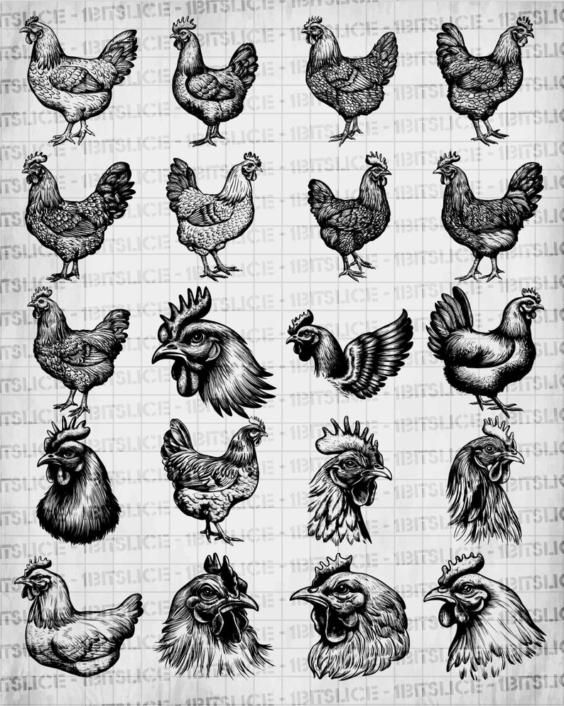 Chicken Hen SVG Bundle, Digital PNG Files, Farmhouse SVG, Hen Clipart ...