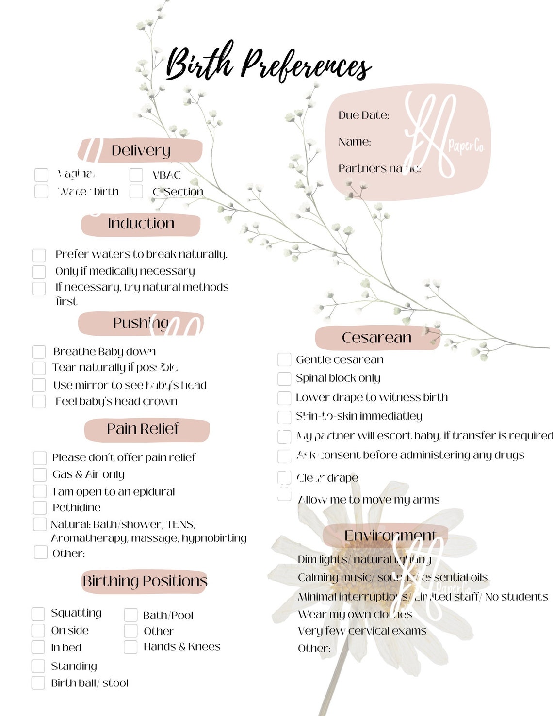 Birth Preferences Template - Etsy