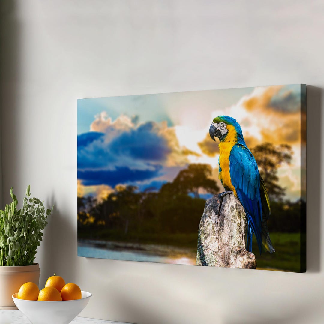 Parrot Decorative Canvas Painting, Wall Decor Gift for Nature ...