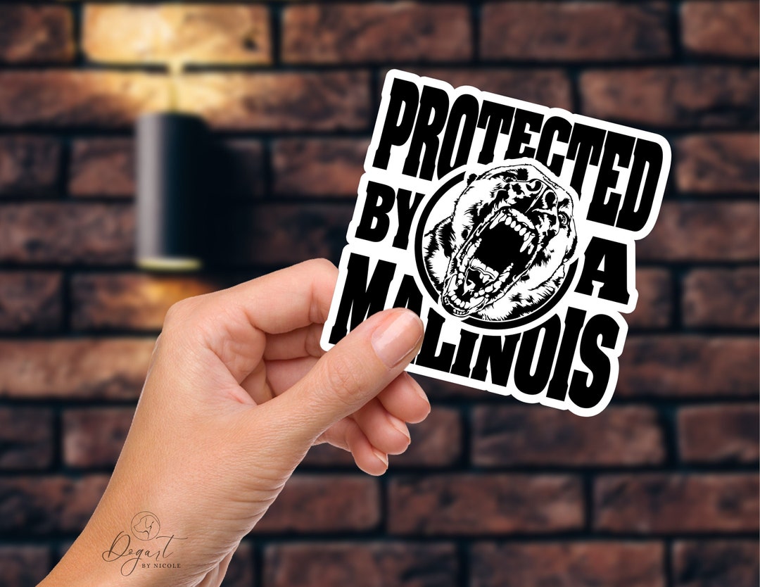 Belgian Malinois Sticker, Die-cut Sticker, Malinois, Maligator, Vinyl ...