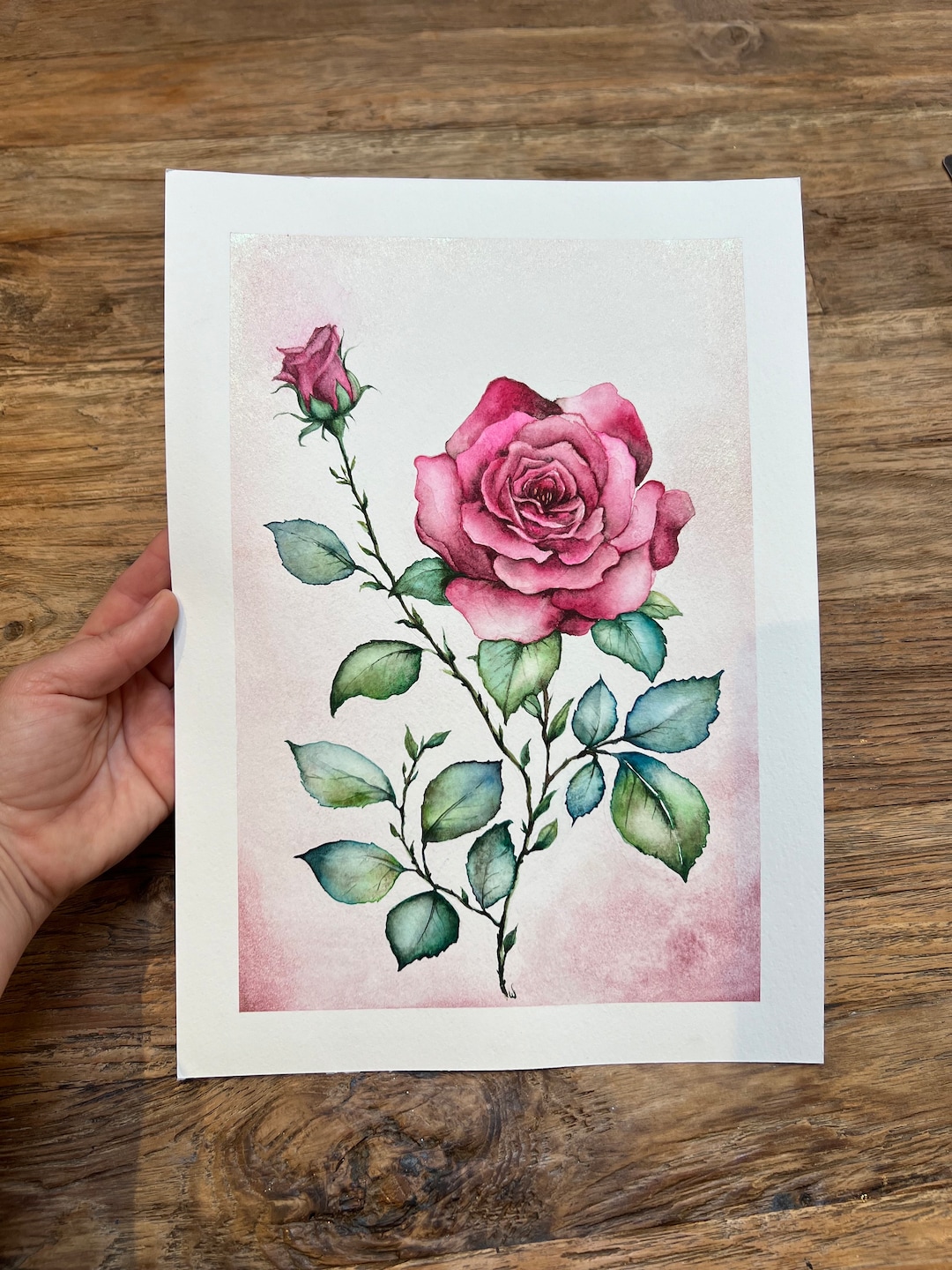 Watercolor Pink Rose Painting - Etsy