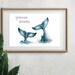 Art Print A4 Poster Diving Together Whale Decoration Bathroom Hand ...