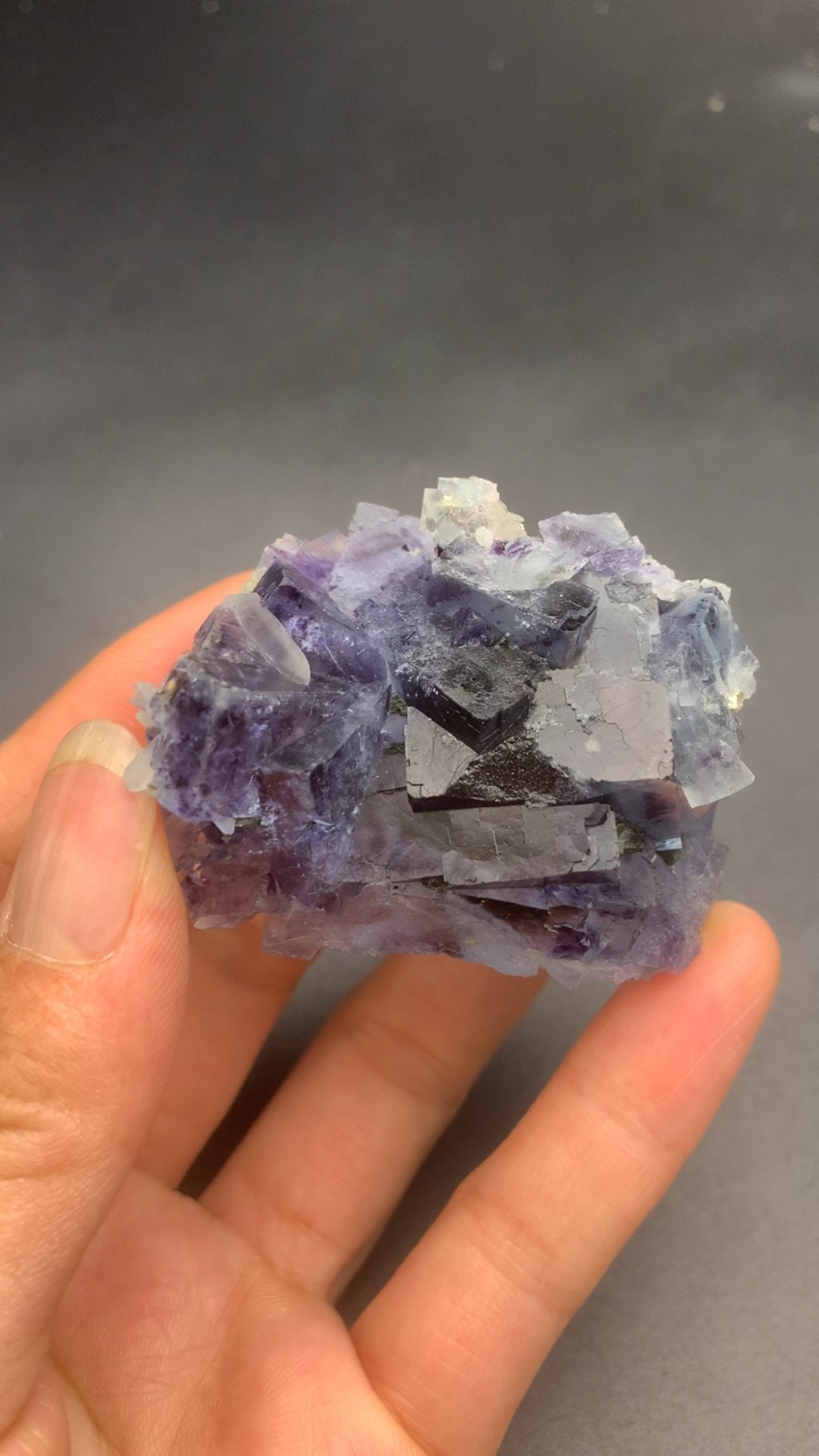 Purple Phantom Fluorite Specimen From Yindu Mine, Inner Mongolia, China ...