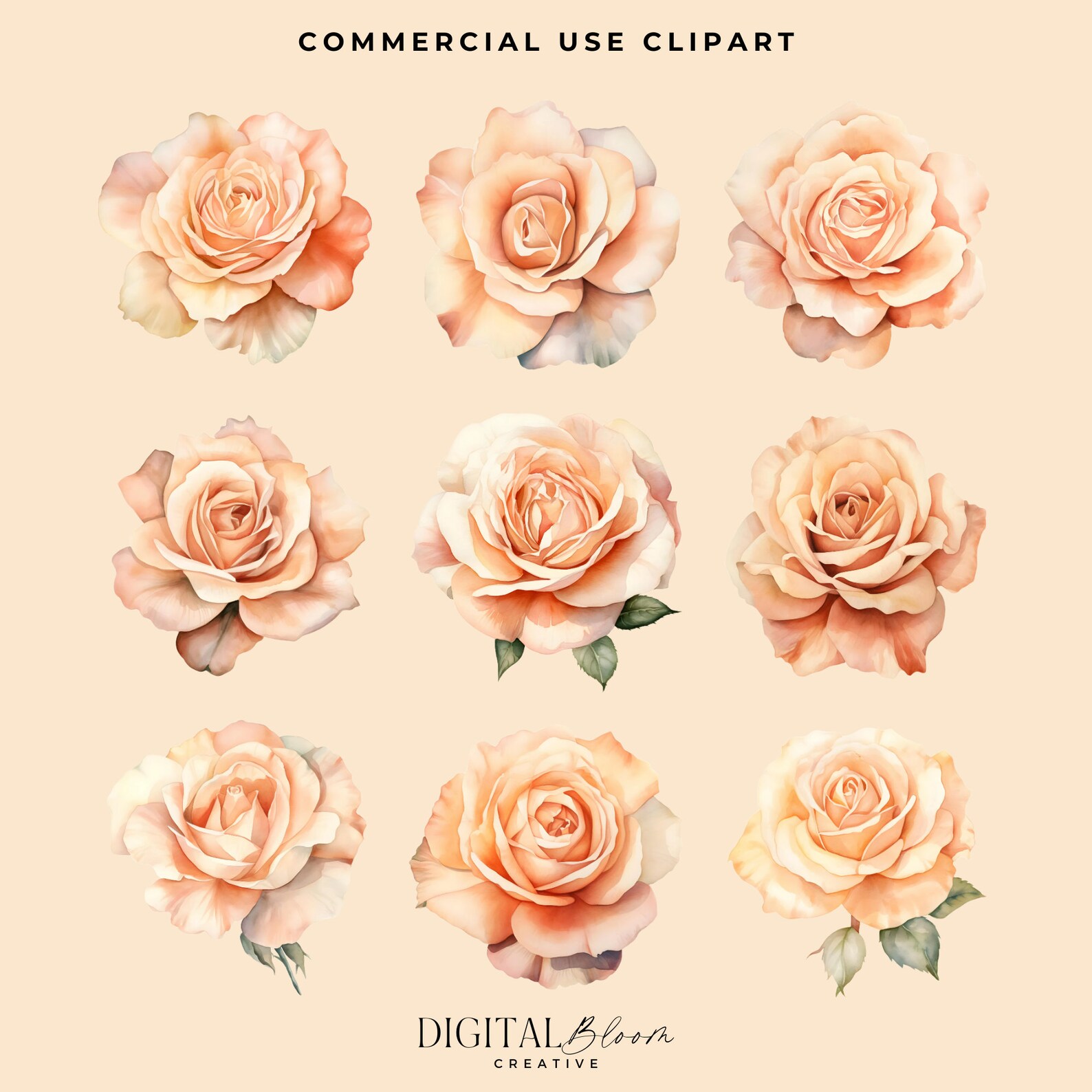 Pastel Peach Rose Flower Clipart Floral Baby Shower Roses PNG Graphics ...