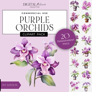 Purple Orchid Clipart Potted Plants PNG Graphics Watercolor Flowers Clip Art Spring Floral Party ...