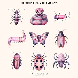 Pink Halloween Creepy Crawlies Clipart Spooky PNG Graphics Clip Art ...