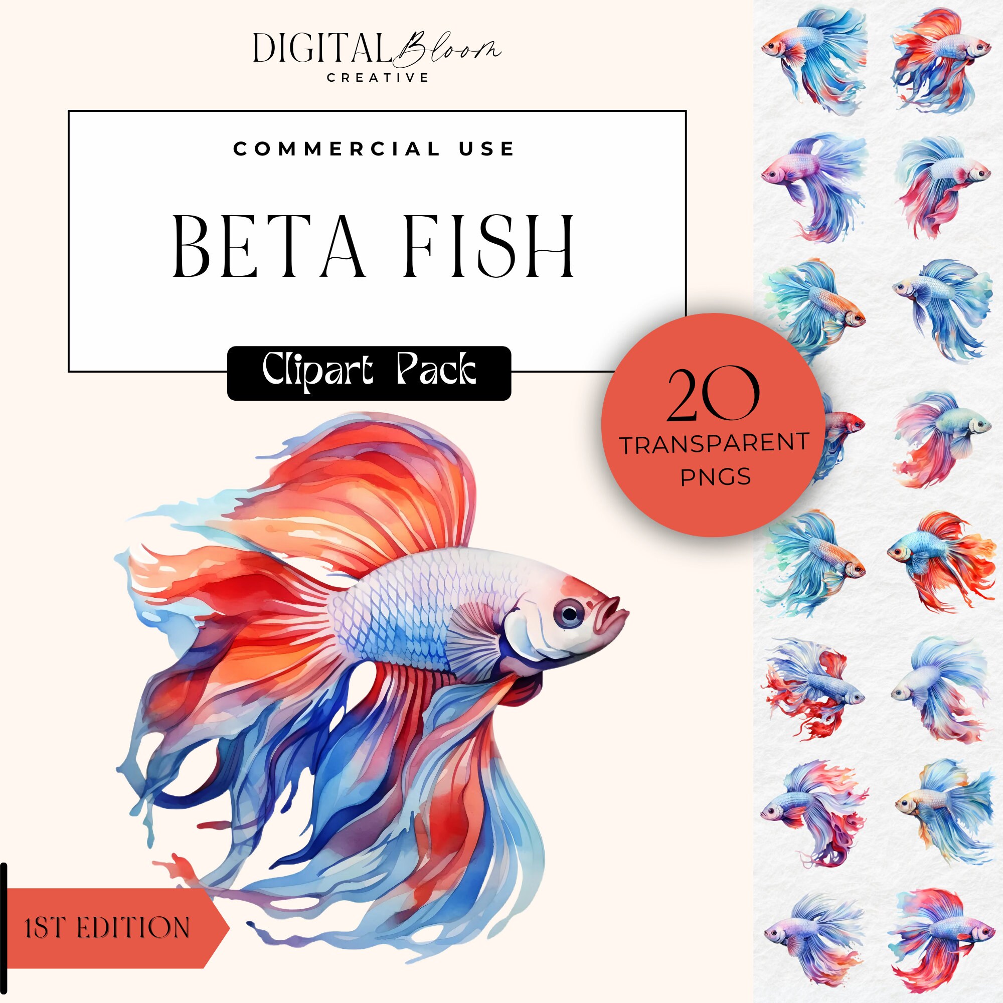 Beta Fish Clipart Betta Fish PNG Aquarium Graphics Fighting Fish ...