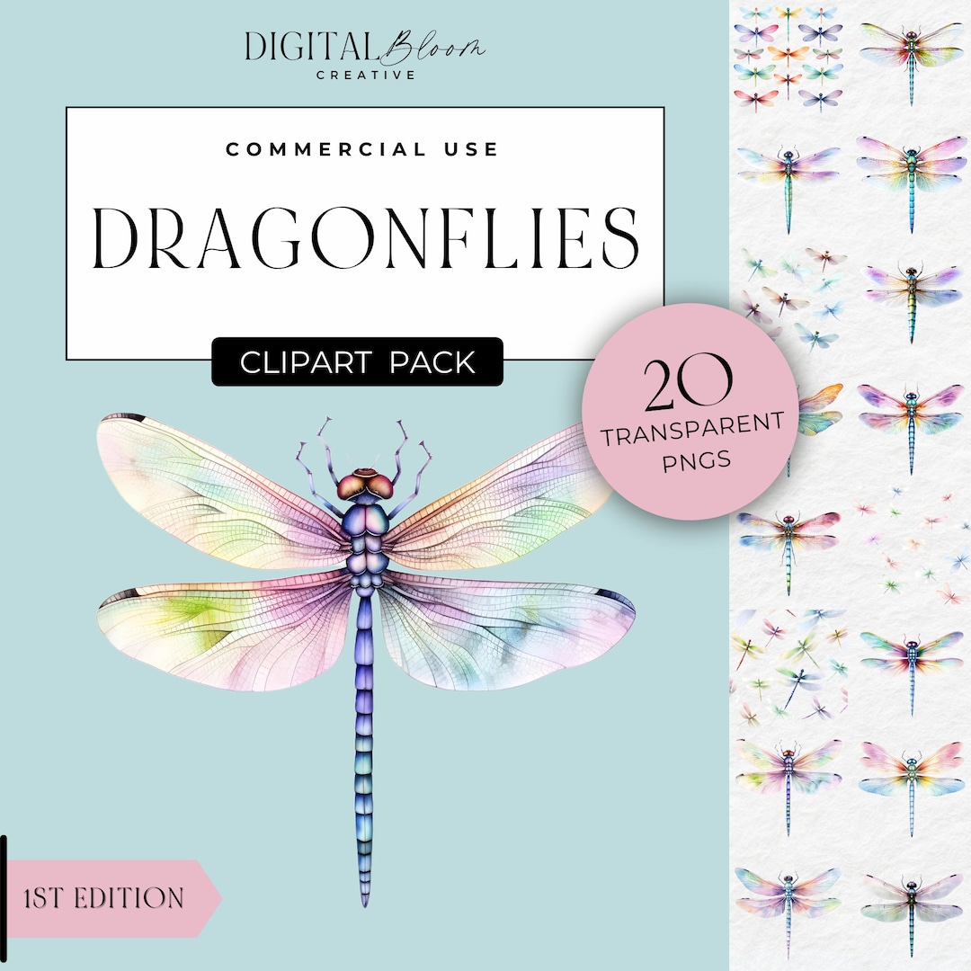 Dragon Fly Clipart, Watercolor Dragonfly Clip Art, Dragonflies PNG ...