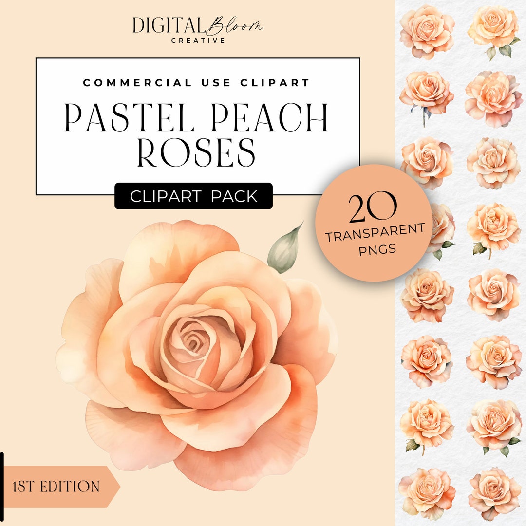 Pastel Peach Rose Flower Clipart Floral Baby Shower Roses PNG Graphics ...