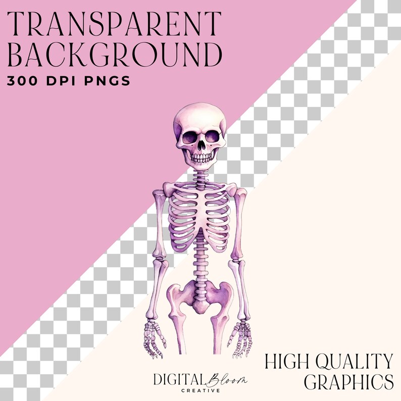 Pink Halloween Skeleton Clipart Spooky PNG Graphics Halloween Skull ...