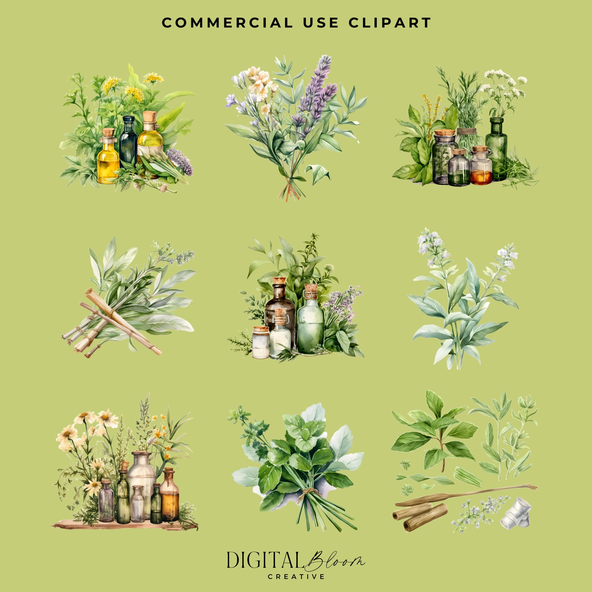 Medicinal Herbs Clipart, Botanical Kitchen PNG, Greenery Graphics ...