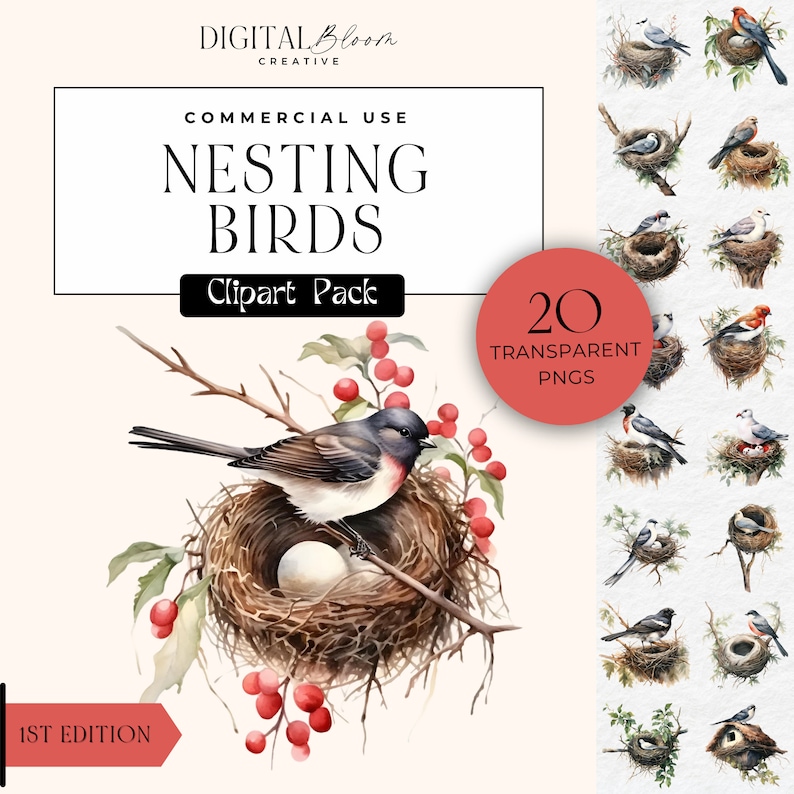 Nesting Birds Clipart Garden Birds Nest PNG Nature Graphics Wild Birds ...