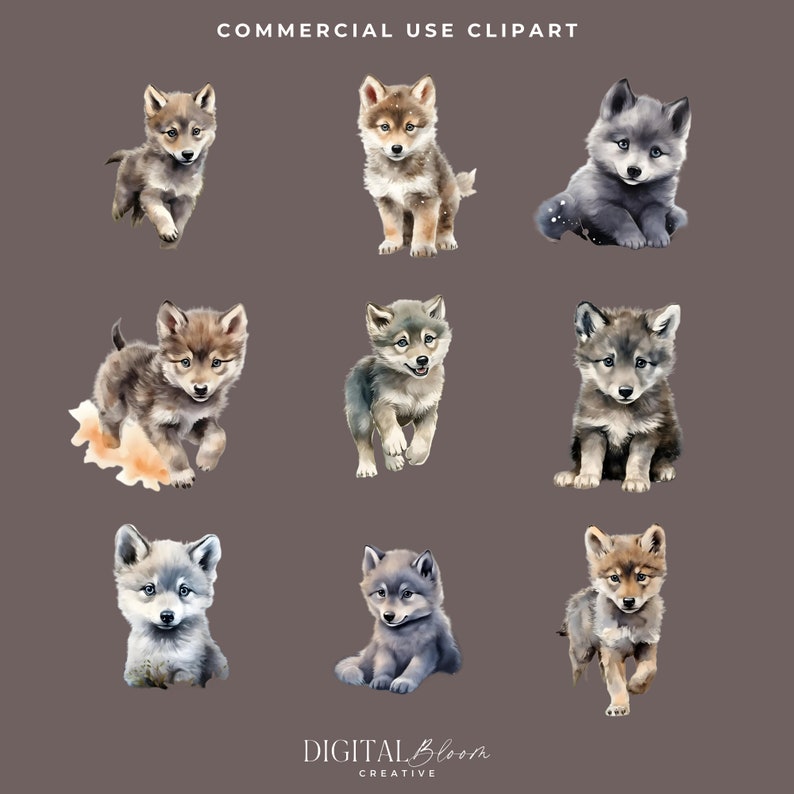 Baby Wolf Watercolor Clipart Wolves PNG Graphics Wild Woodland Invite ...