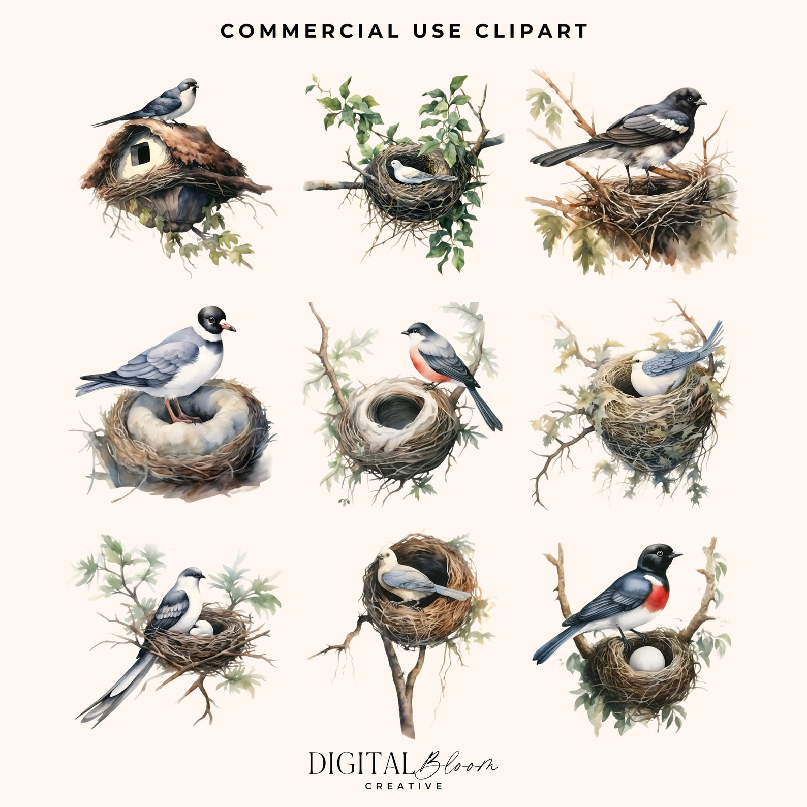 Nesting Birds Clipart Garden Birds Nest PNG Nature Graphics Wild Birds ...