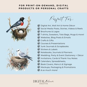 Nesting Birds Clipart Garden Birds Nest PNG Nature Graphics Wild Birds ...
