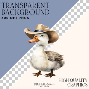 Cowboy Goose Clipart Western Duck PNG Cute Funny Animals Silly Goose ...
