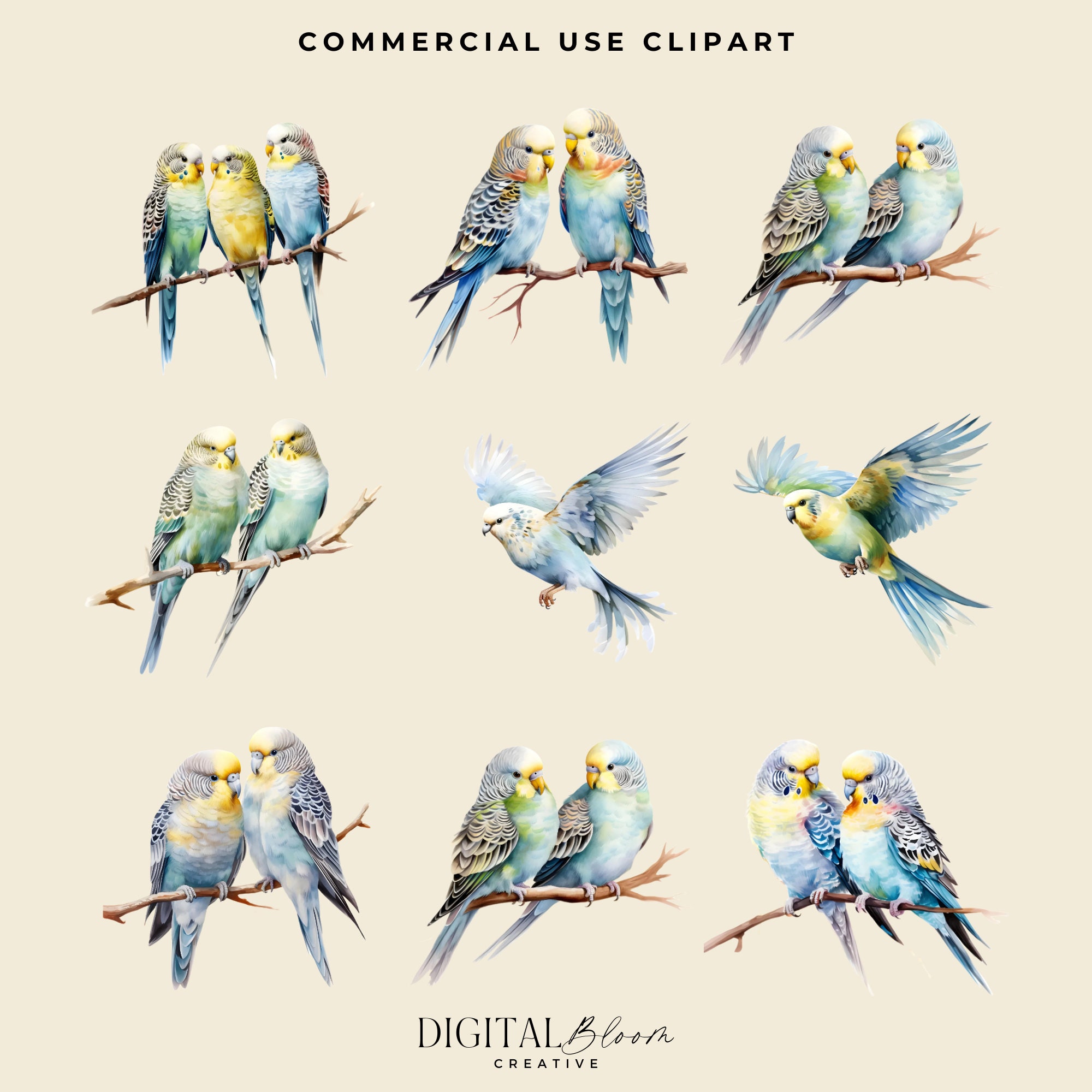 Budgie Clipart Pastel Spring Birds Clip Art Parakeet PNG Graphics ...