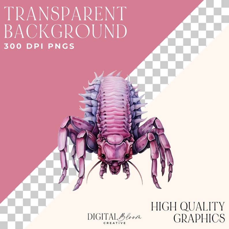 Pink Halloween Creepy Crawlies Clipart Spooky PNG Graphics Clip Art ...