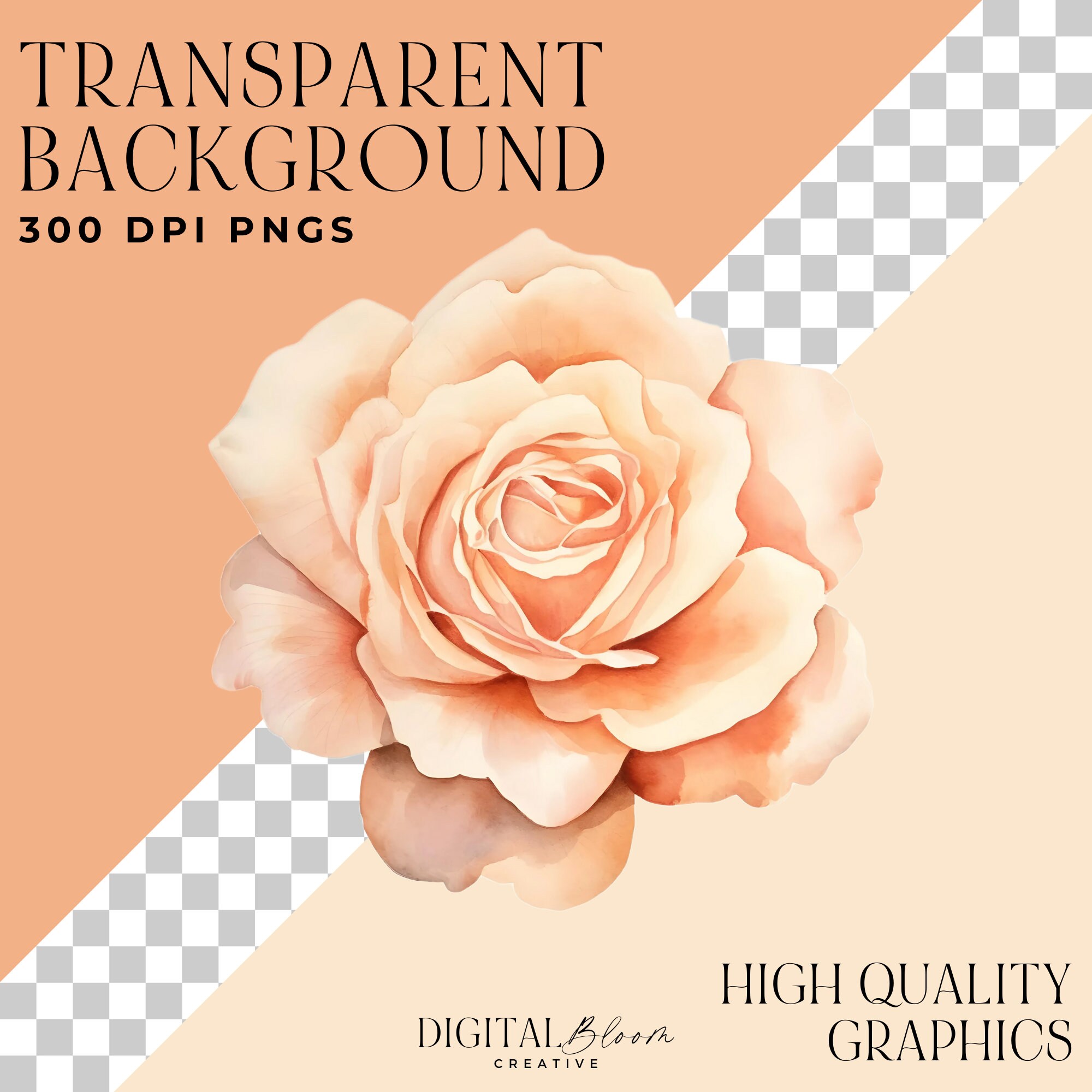 Pastel Peach Rose Flower Clipart Floral Baby Shower Roses PNG Graphics ...