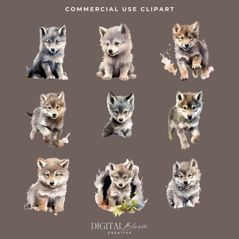 Baby Wolf Watercolor Clipart Wolves PNG Graphics Wild Woodland Invite ...