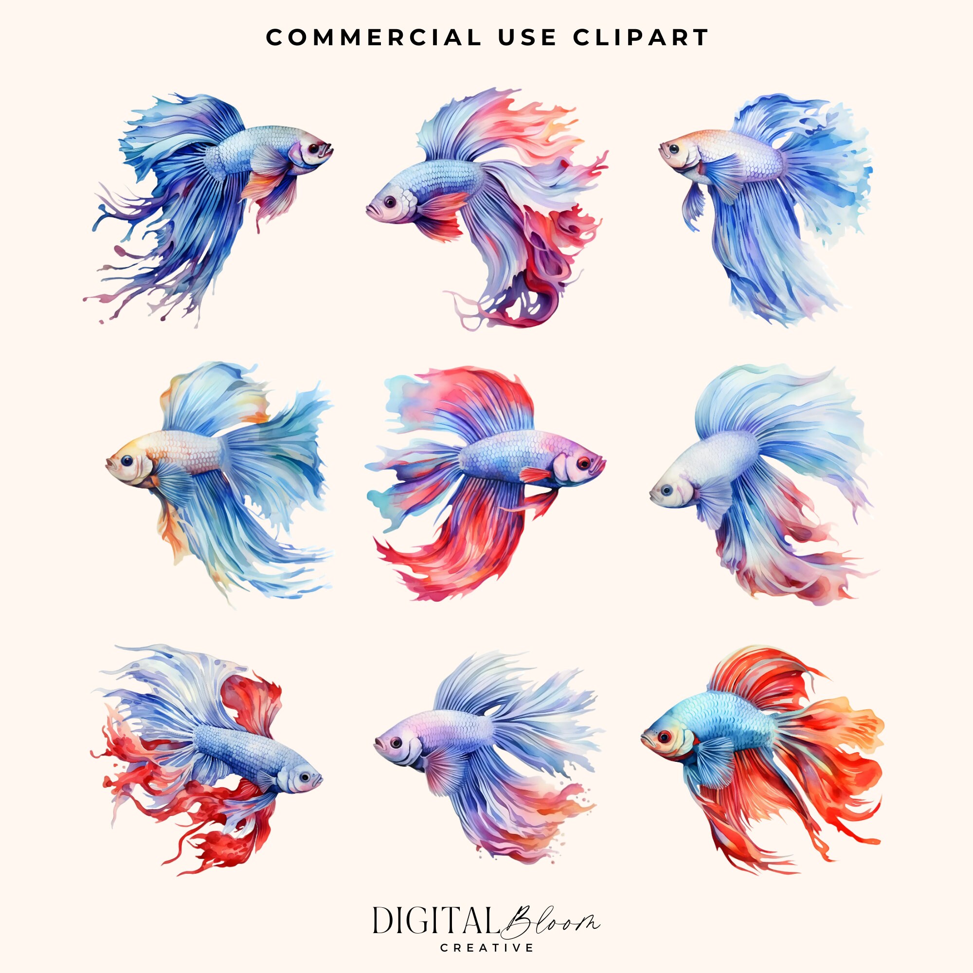 Beta Fish Clipart Betta Fish PNG Aquarium Graphics Fighting Fish ...