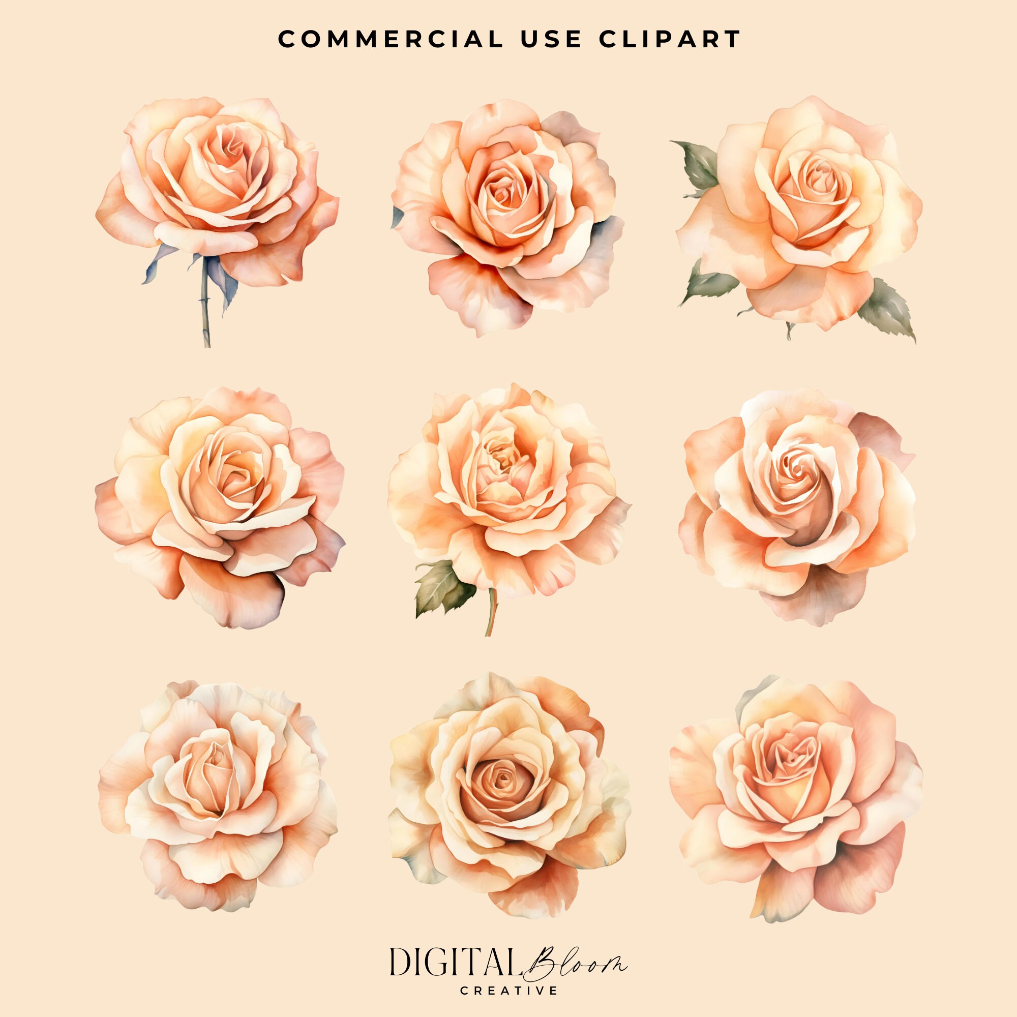 Pastel Peach Rose Flower Clipart Floral Baby Shower Roses PNG Graphics ...