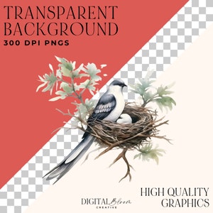 Nesting Birds Clipart Garden Birds Nest PNG Nature Graphics Wild Birds ...