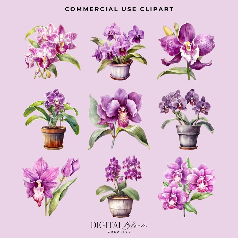 Purple Orchid Clipart Potted Plants PNG Graphics Watercolor Flowers Clip Art Spring Floral Party ...