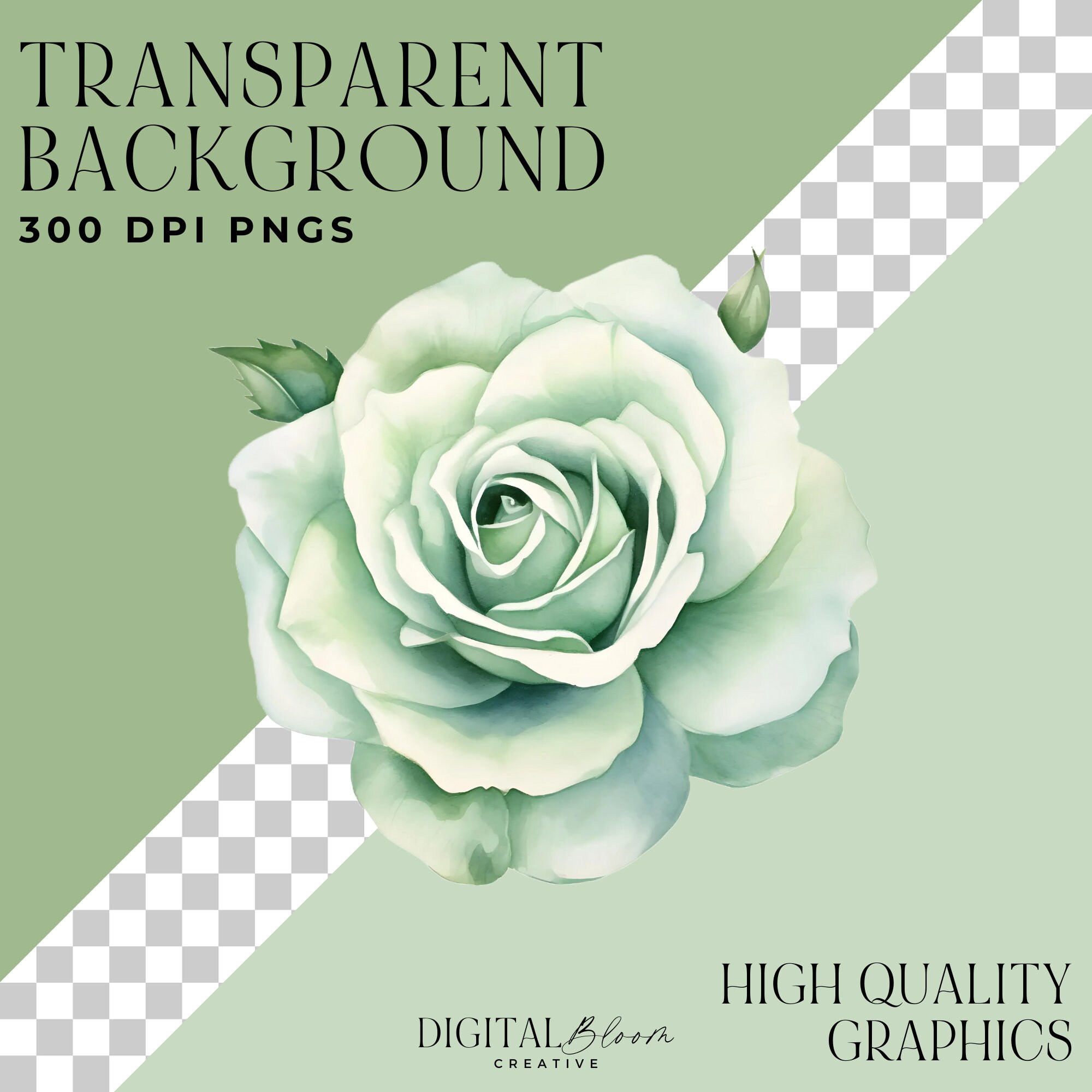 Pastel Green Rose Flower Clipart Floral Baby Shower Roses PNG Graphics ...