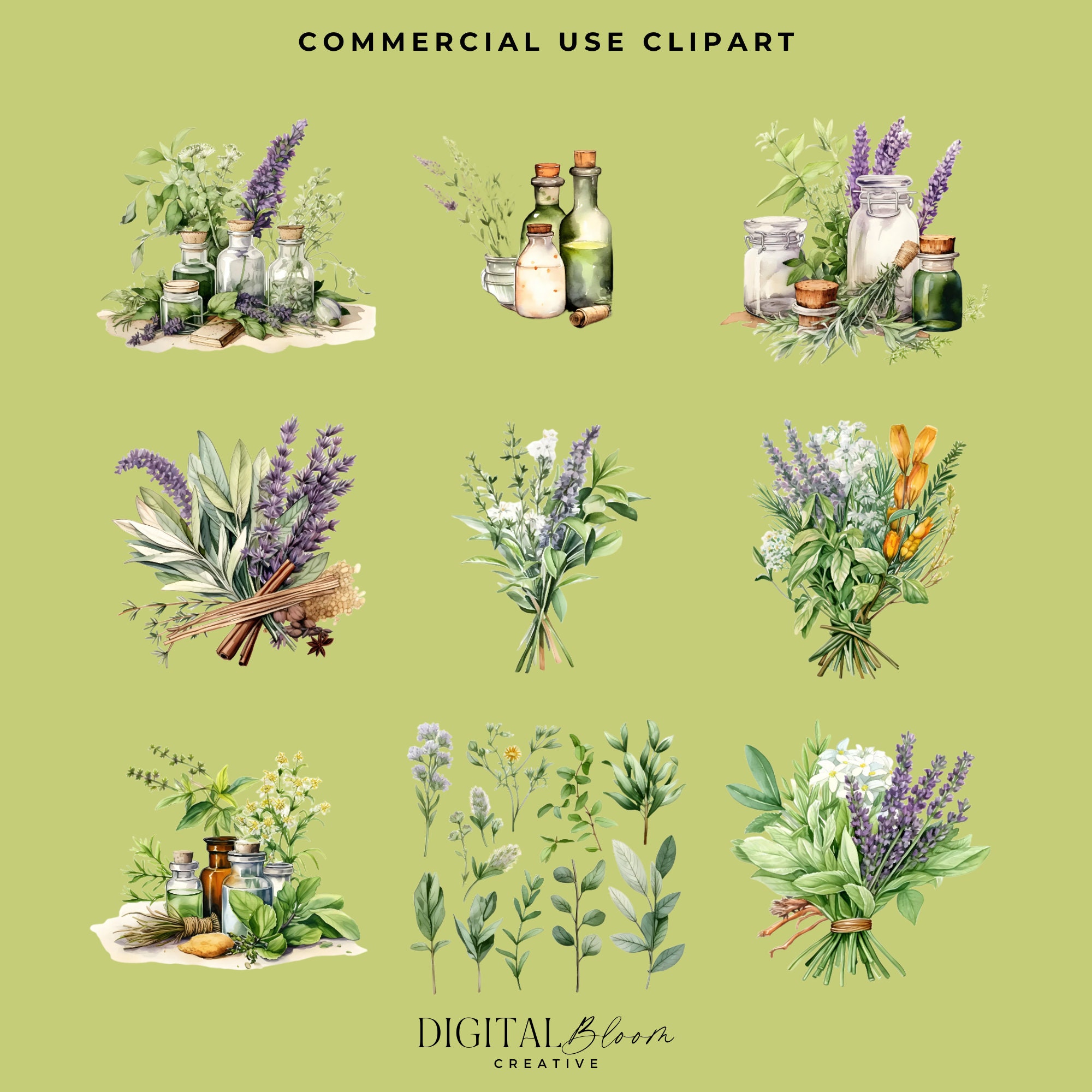 Medicinal Herbs Clipart, Botanical Kitchen PNG, Greenery Graphics ...