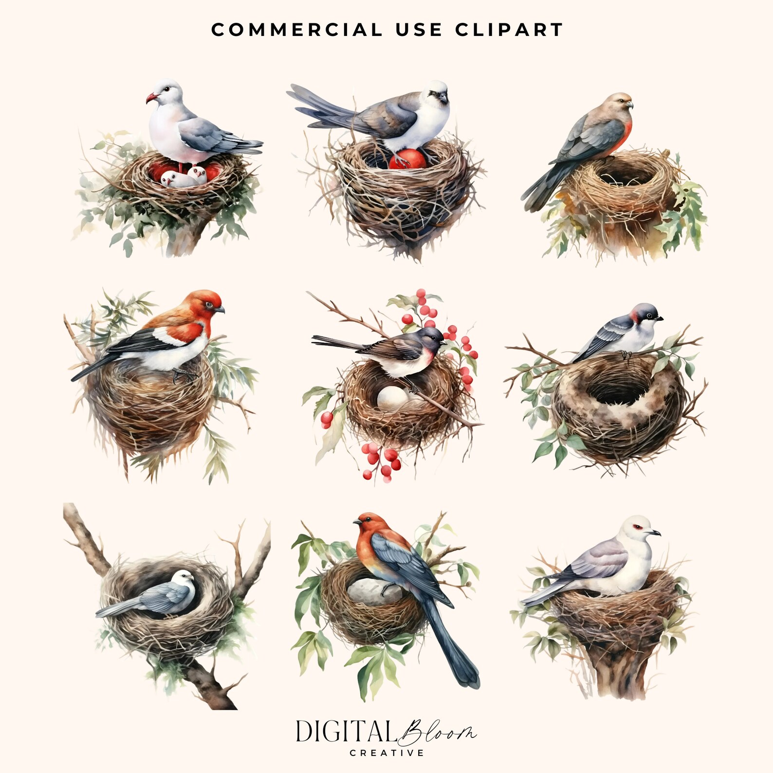 Nesting Birds Clipart Garden Birds Nest PNG Nature Graphics Wild Birds ...