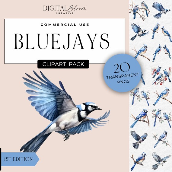 Clip Art Flying Blue Jay