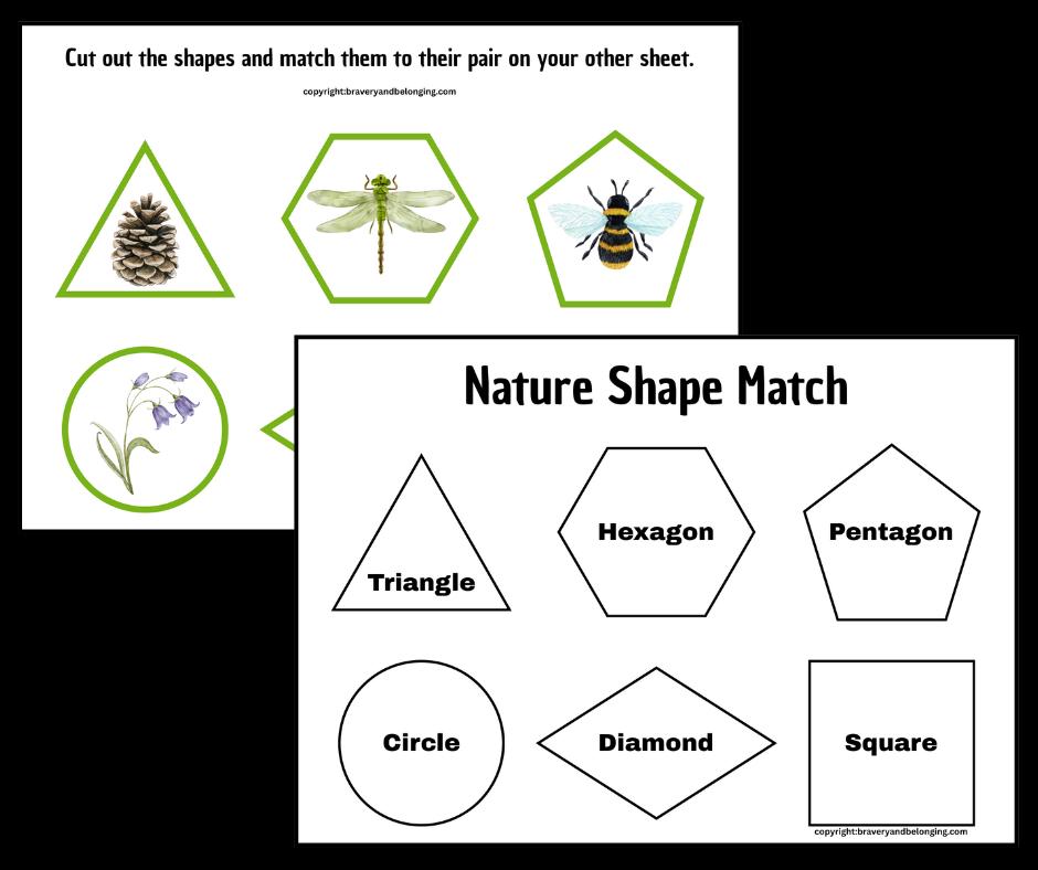 Nature Preschool Activities Bundle - Etsy