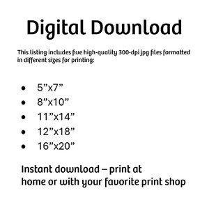 La Belle Ferroniere Print: Leonardo Da Vinci Digital Art (downloadable ...