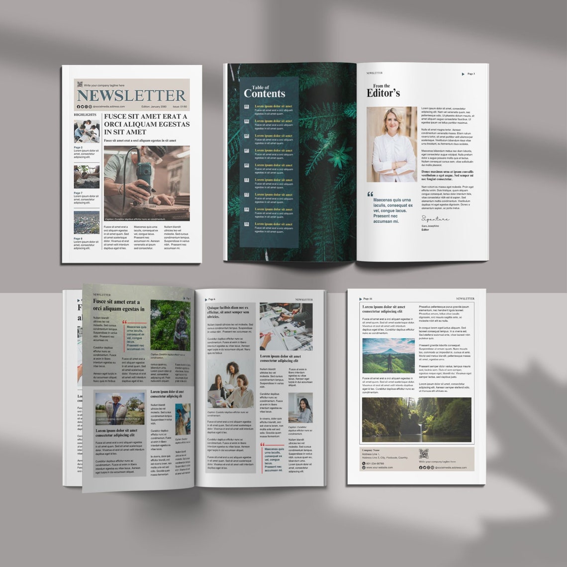 Multipurpose Newsletter Template Multipurpose Template, Editorial ...