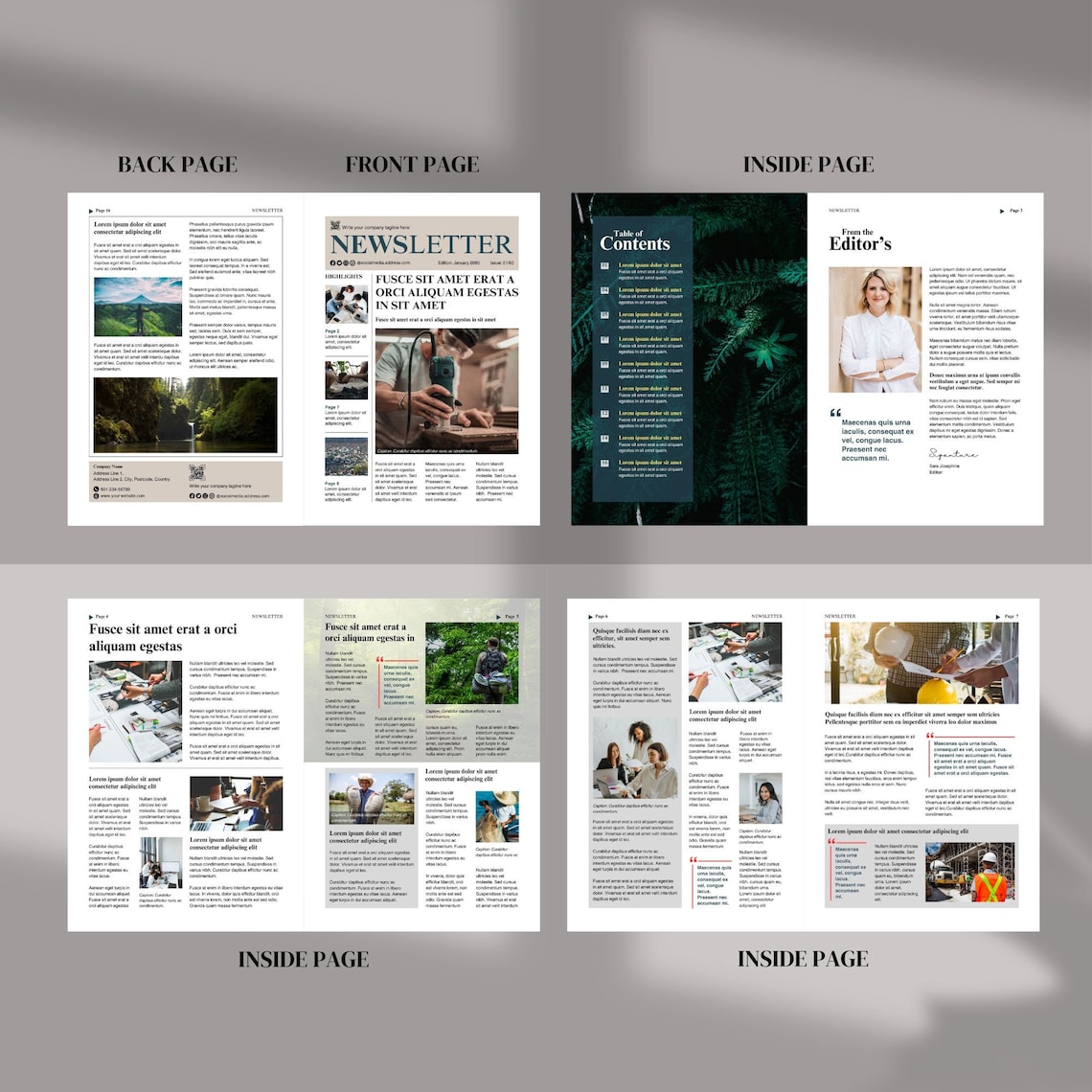 Multipurpose Newsletter Template Multipurpose Template, Editorial ...