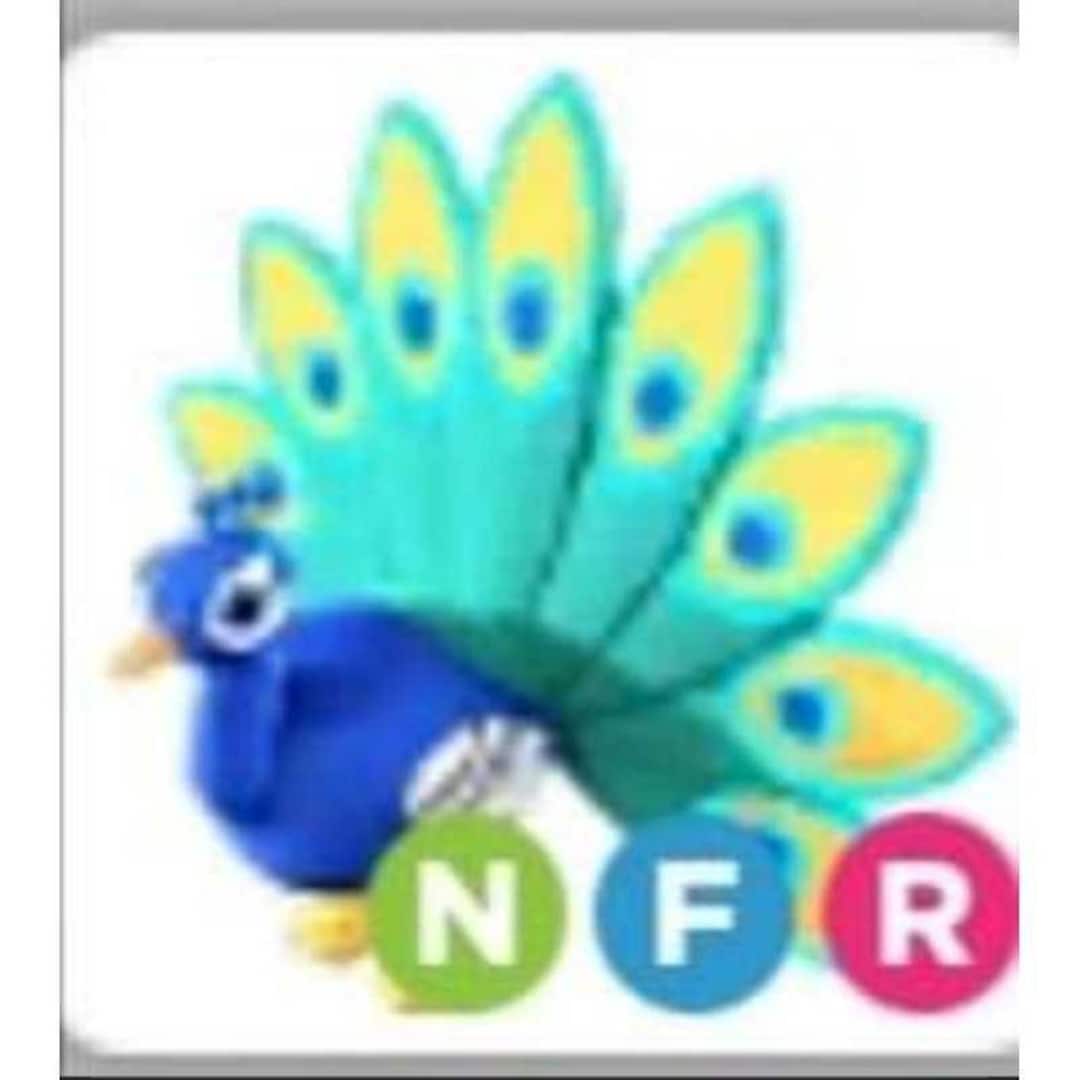 Adopt Me NFR Peacock - Etsy