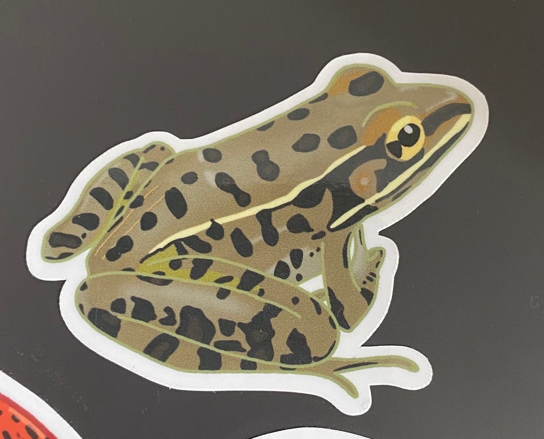 Southern Lepard Frog Sticker - Etsy